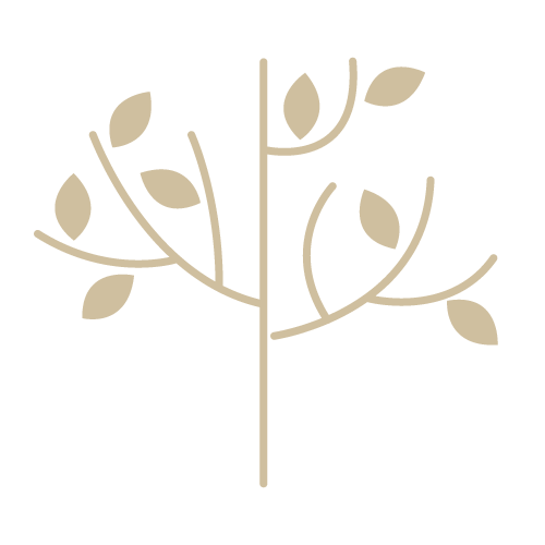 Acasa - Codreaconstruct